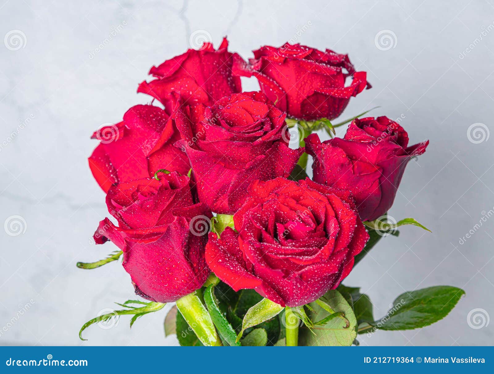 Bouquet of Burgundy Roses, on a Light Background. 7 Roses Stock Photo ...