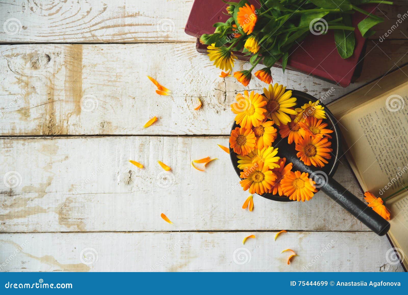 Bouquet of calendula stock image. Image of orange, officinal - 75444699