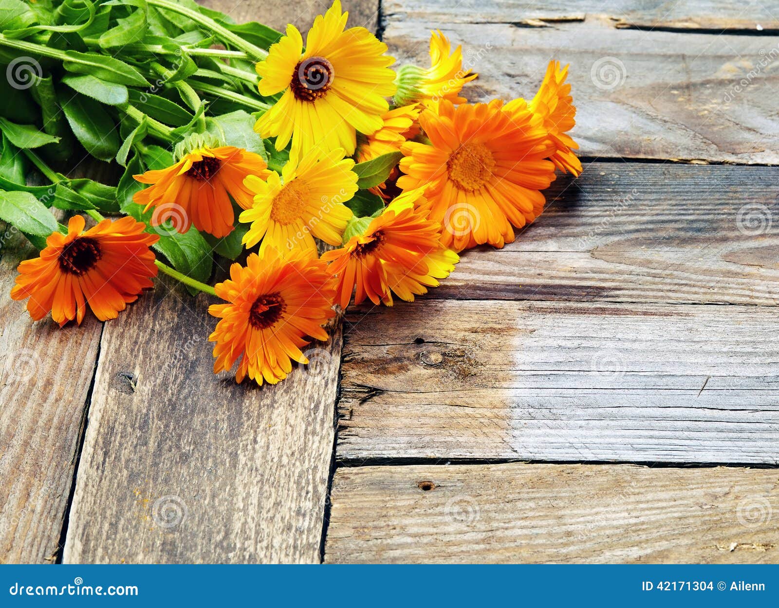 Bouquet of Calendula on Vintage Wooden Board Stock Photo - Image of ...