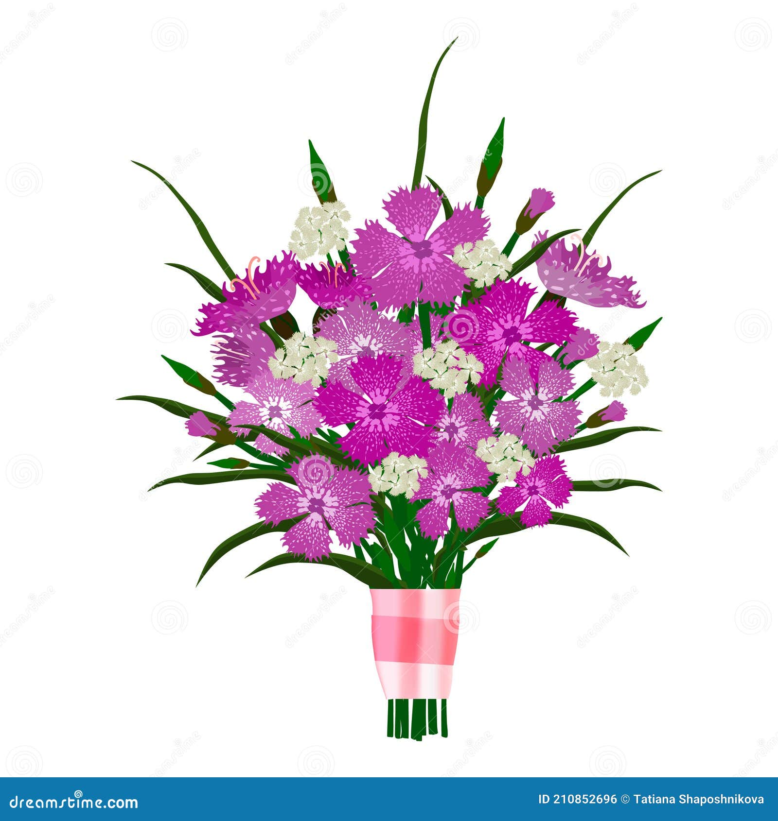 Bouquet of Carnations. Cartoon Flat Style Stock Vector - Illustration ...