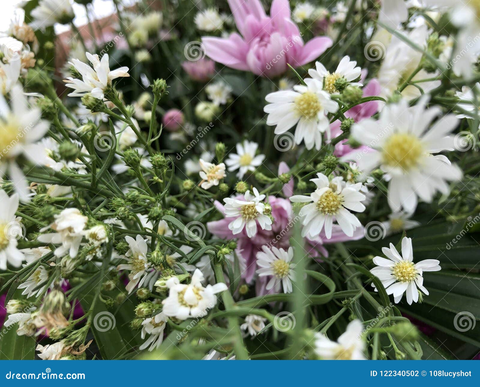 Bouquet of Colorful Assorted Flowers Stock Photo - Image of bouquet ...