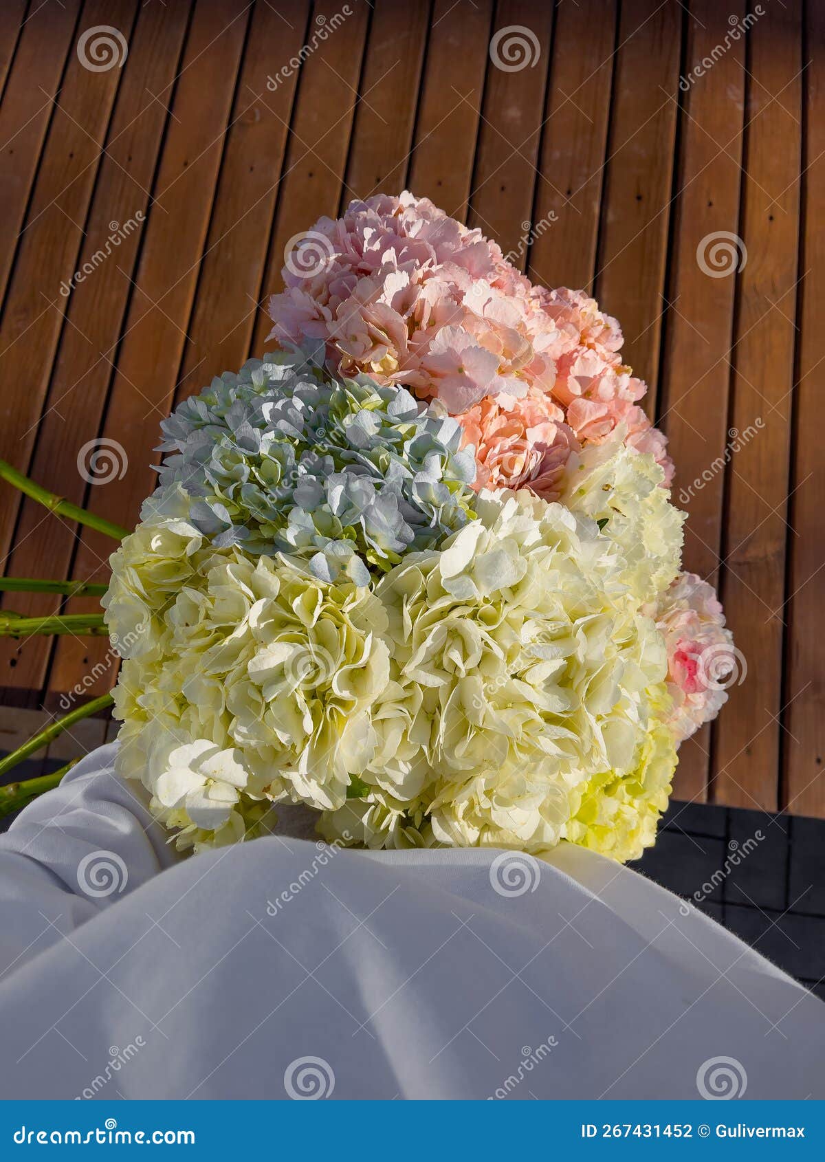 Bouquet of Colorful Hydrangeas Stock Photo - Image of love, natural ...