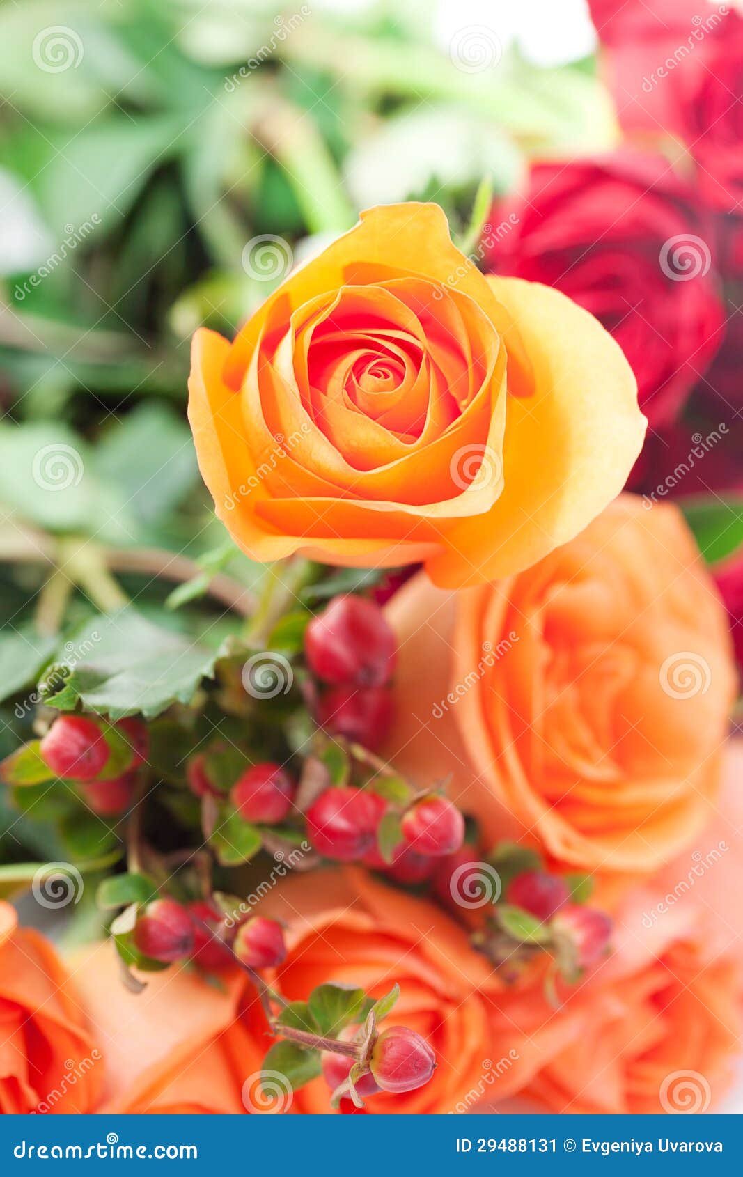 Bouquet of colorful roses stock image. Image of colorful - 29488131