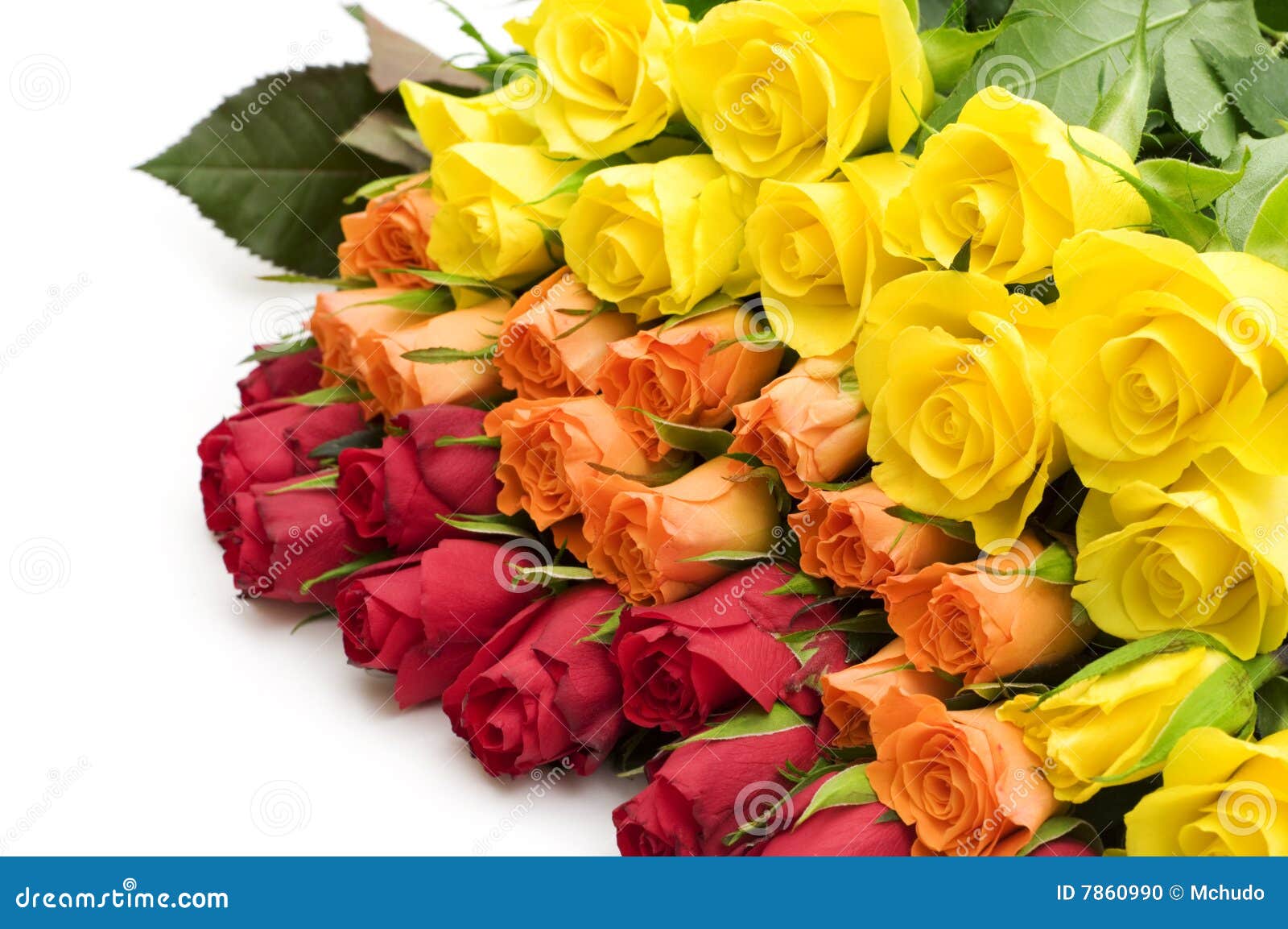 Bouquet of colorful roses stock photo. Image of celebrate - 7860990
