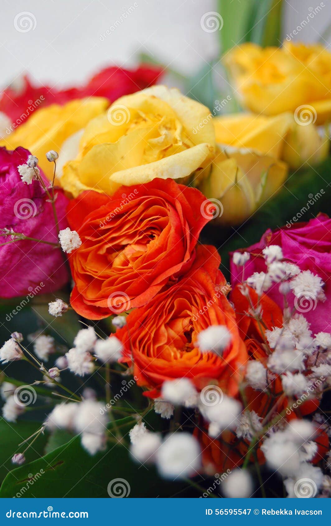 Bouquet of colorful roses stock image. Image of bunch - 56595547