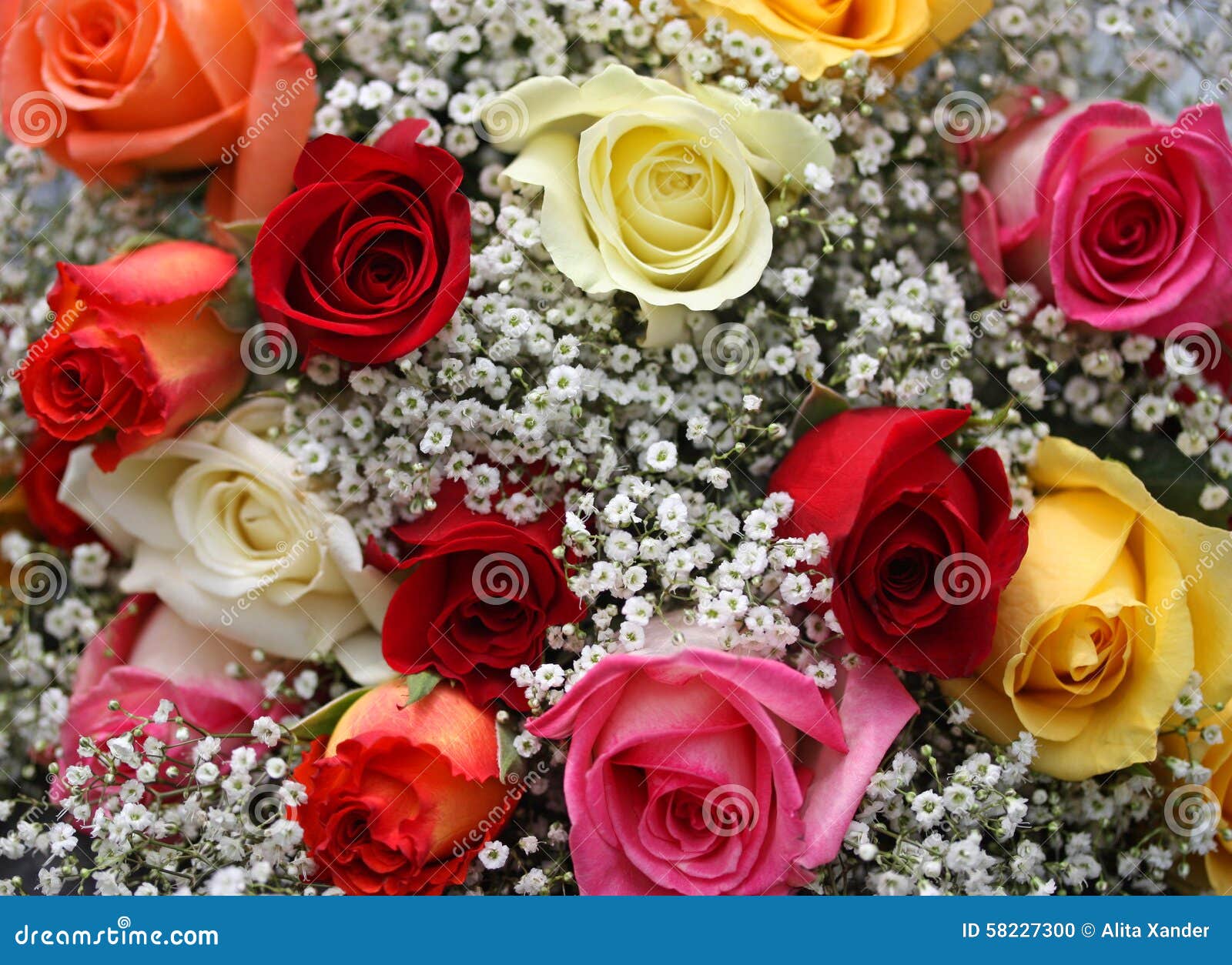 Bouquet of Colorful Roses stock photo. Image of bunch - 58227300