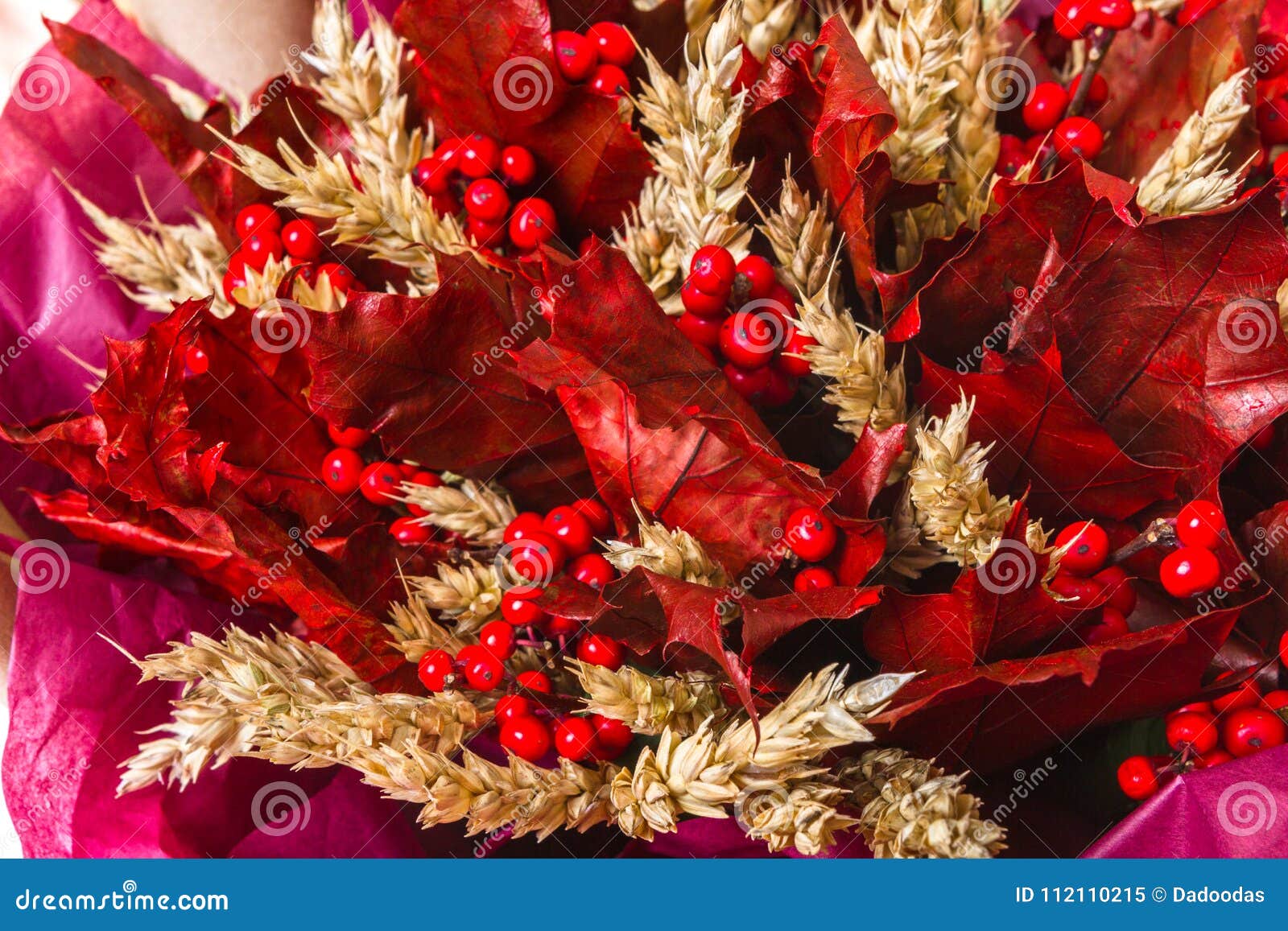 Bouquet Composition. Red Maple Leaves with Wheat Ears. Stock Image ...