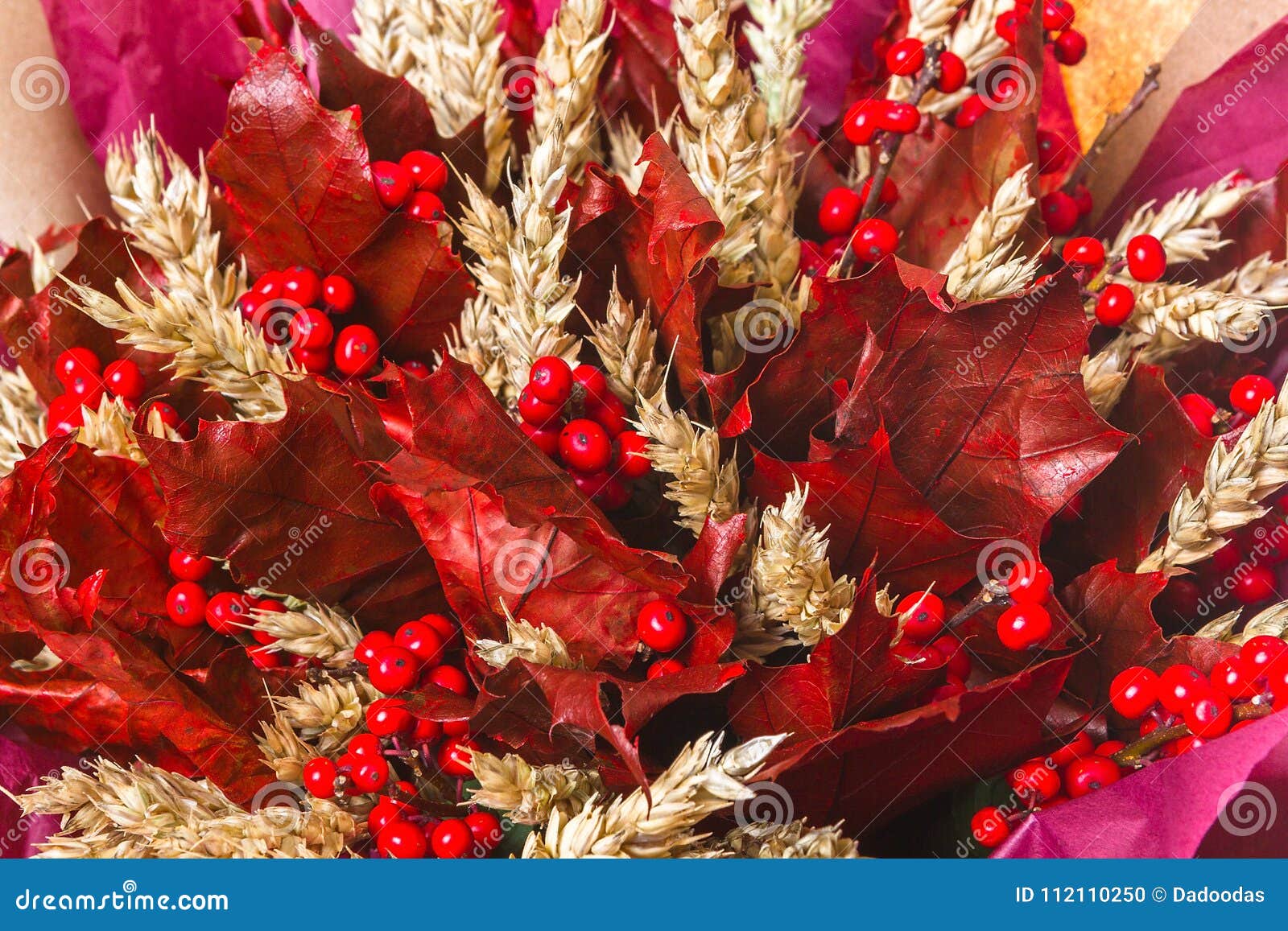 Bouquet Composition. Red Maple Leaves with Wheat Ears. Stock Photo ...