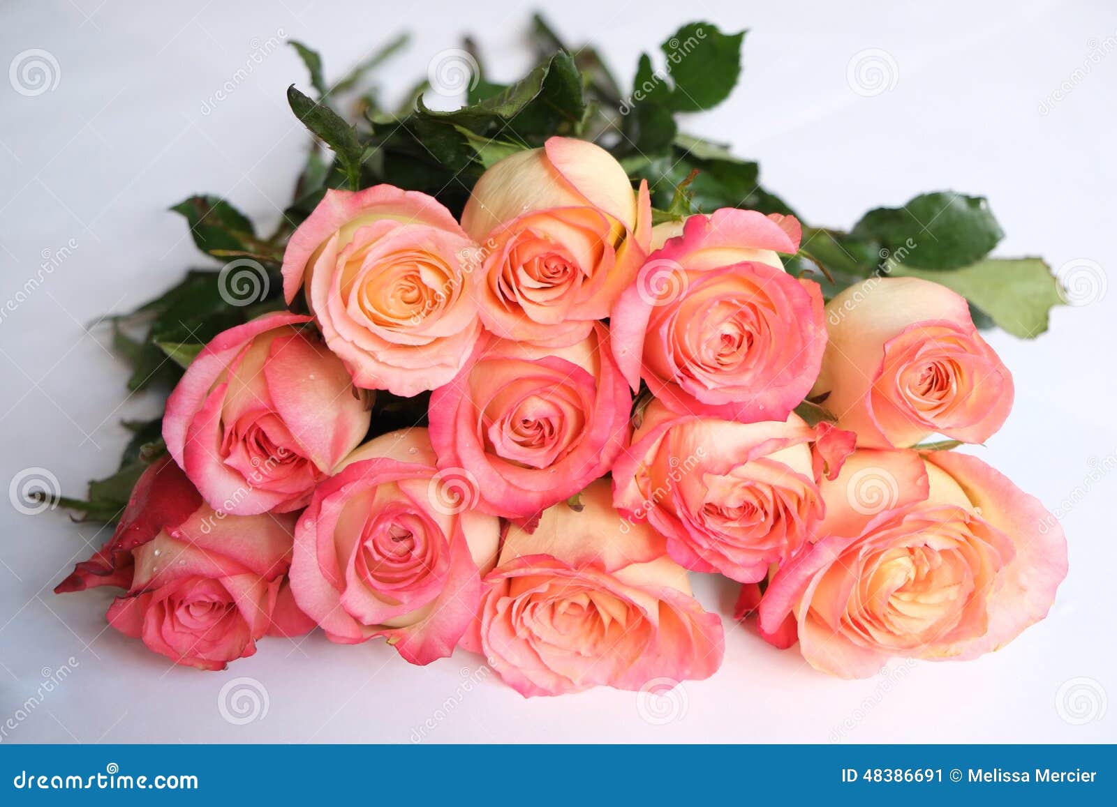 Bouquet of coral roses stock image. Image of flowering - 48386691