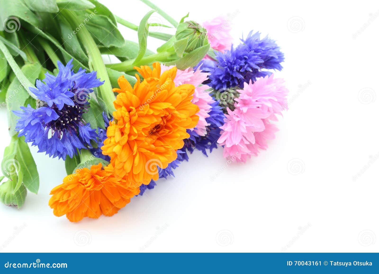 Bouquet of Cornflowers and Calendula Stock Image - Image of calendula ...
