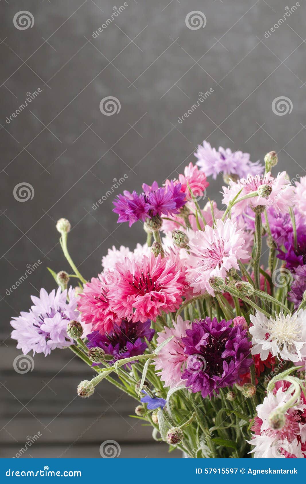 Bouquet of cornflowers stock image. Image of bloom, arrangement - 57915597