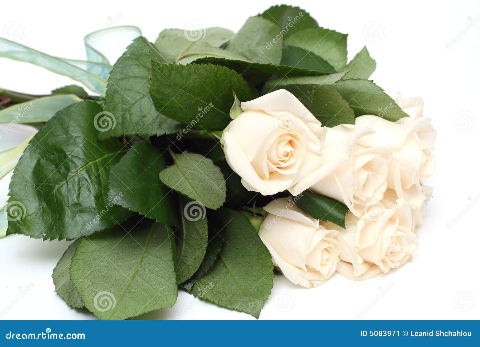 Bouquet of cream roses stock image. Image of bouquet, bunch - 5083971