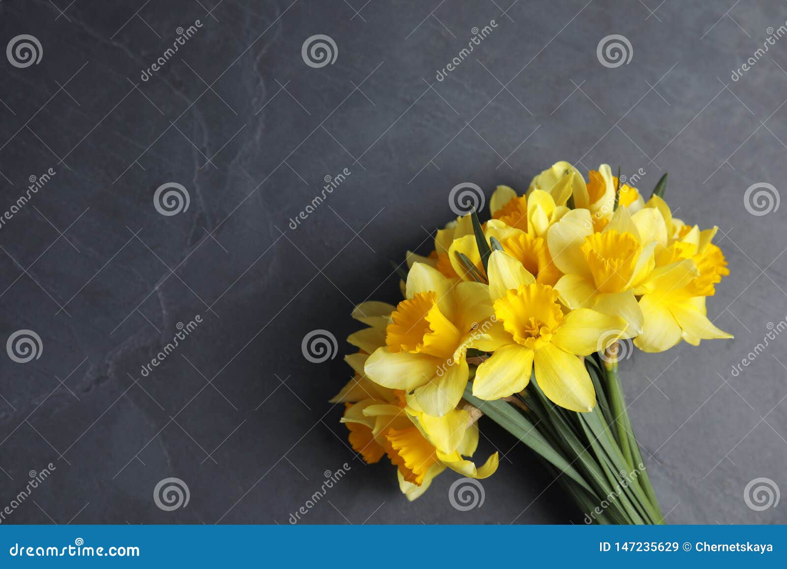Bouquet of Daffodils on Dark Background, Top View with Space for Text ...