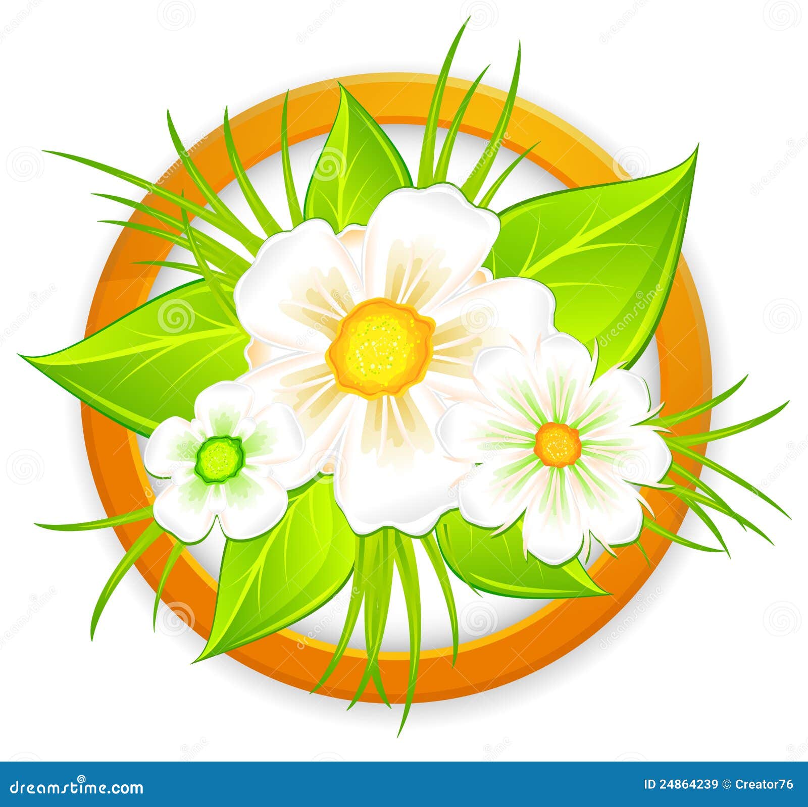 Bouquet of Daisies in Circle Stock Vector - Illustration of herb ...