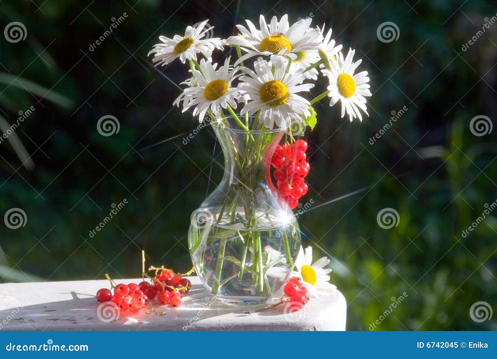 Bouquet of daisy flowers stock image. Image of leaf, spring - 6742045