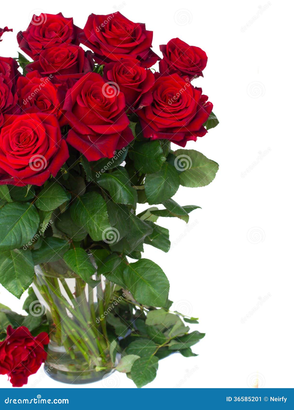 Bouquet of Dark Red Roses in Vase Stock Image - Image of leaf ...