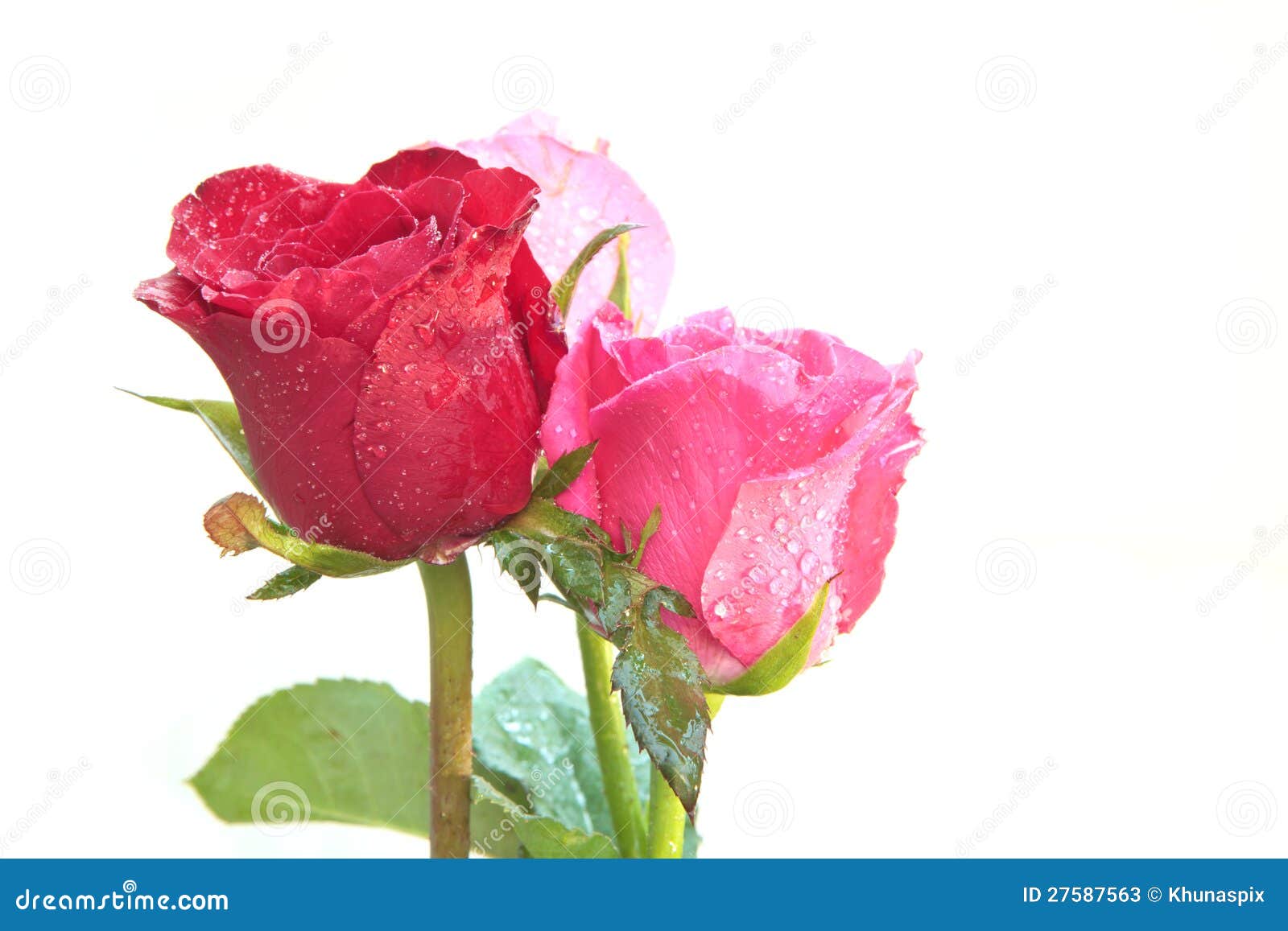 Bouquet De Blanc D'isolement Par Fleur Rouge De Roses Image stock ...