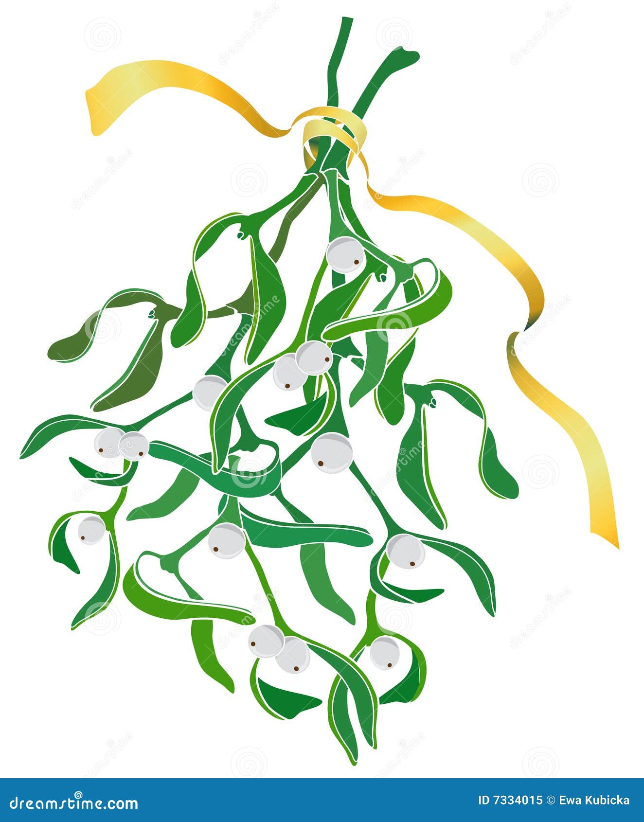 Bouquet De Gui Avec La Bande Illustration de Vecteur - Illustration du ...