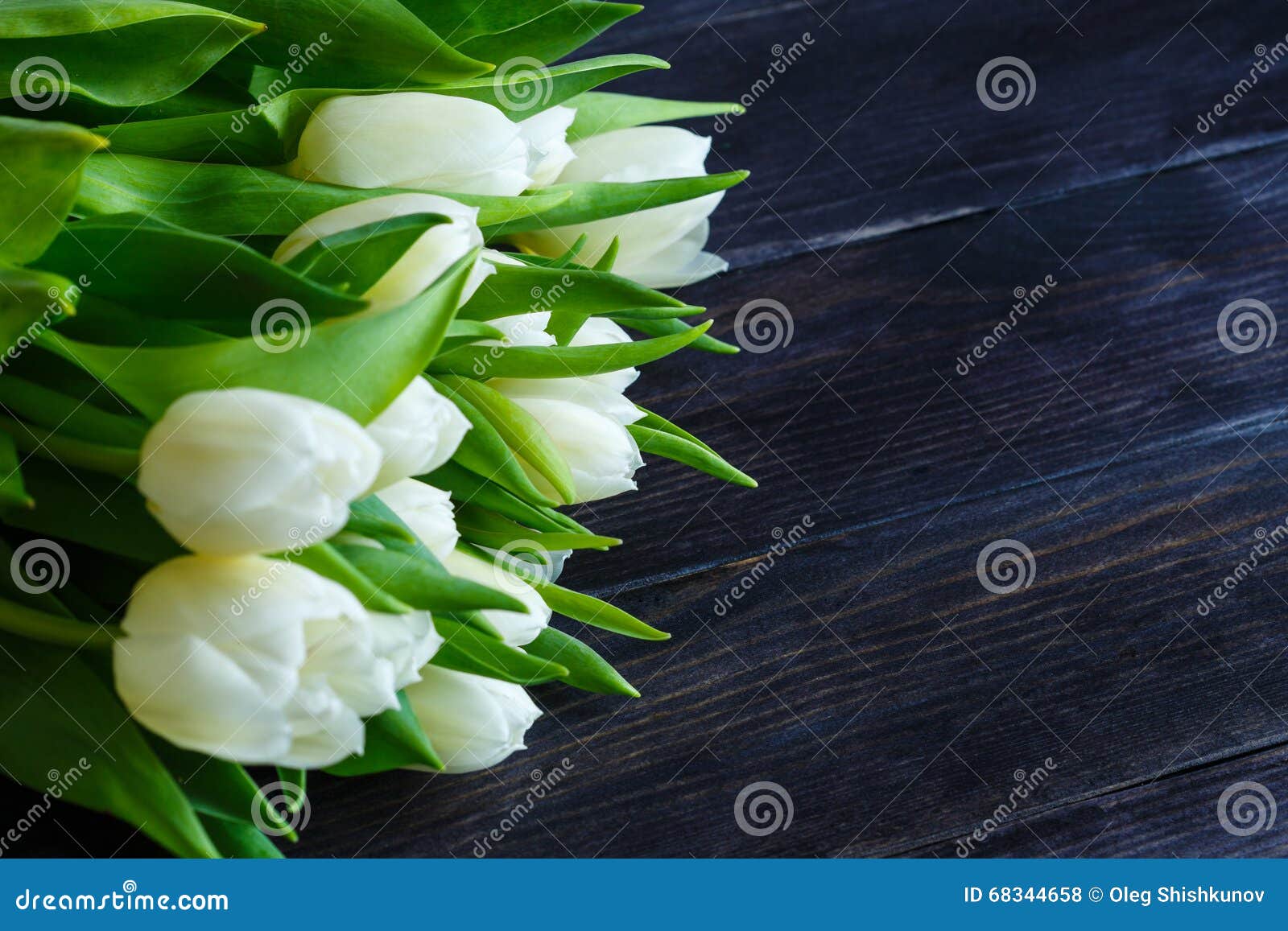 Bouquet De La Tulipe Blanche Photo stock - Image du fleurs, pétale ...