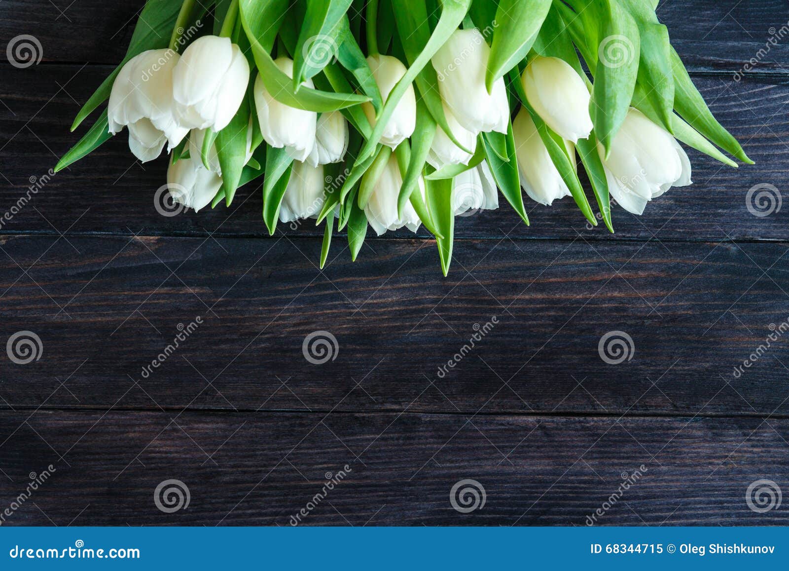 Bouquet De La Tulipe Blanche Image stock - Image du saison, nature ...