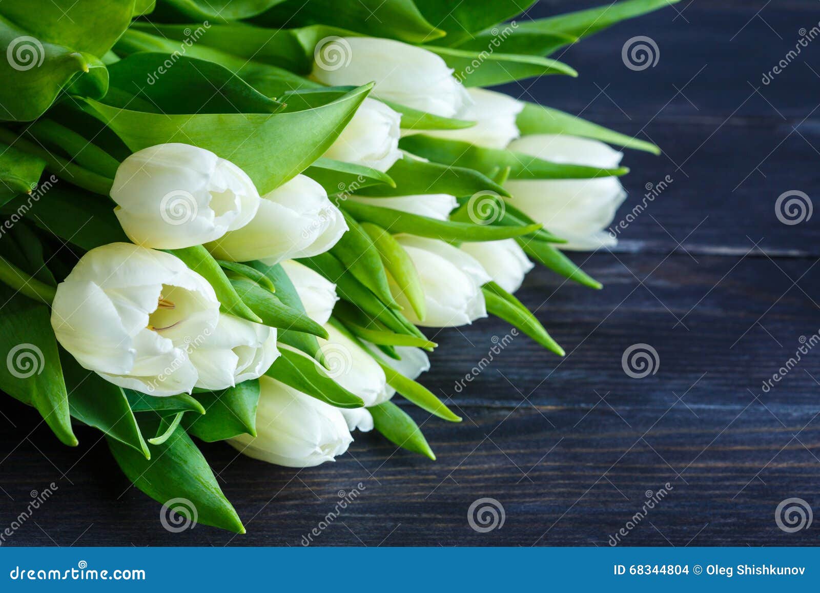 Bouquet De La Tulipe Blanche Photo stock - Image du fleur, avril: 68344804