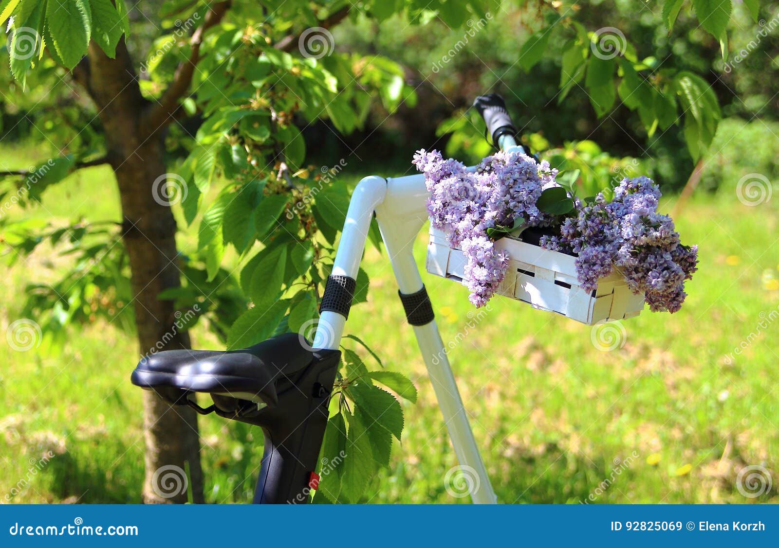 Bouquet De Lilas Dans Un Panier En Osier Image stock - Image du vélo ...