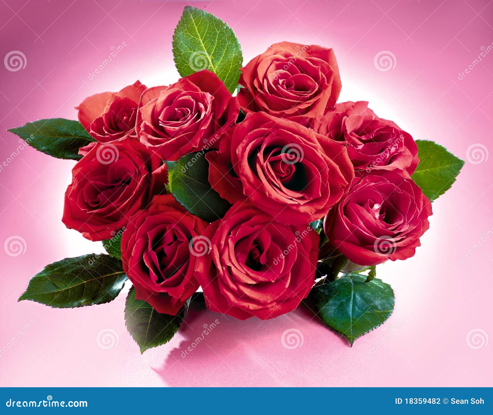 Bouquet de Rose photo stock. Image du groupe, milieux - 18359482