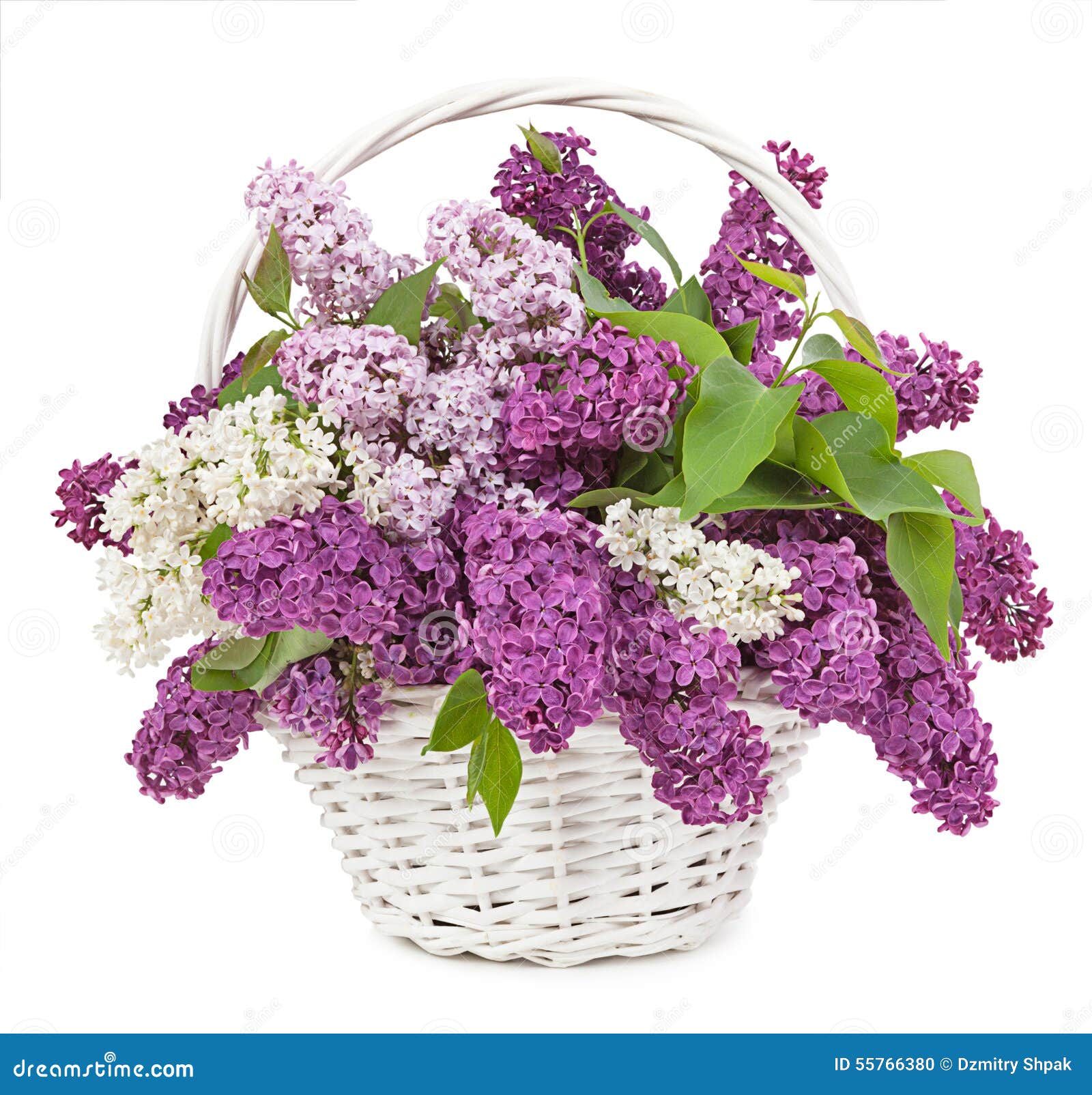 Bouquet De Source Le Muguet Et Lilas Dans Un Isolat De Panier Photo ...