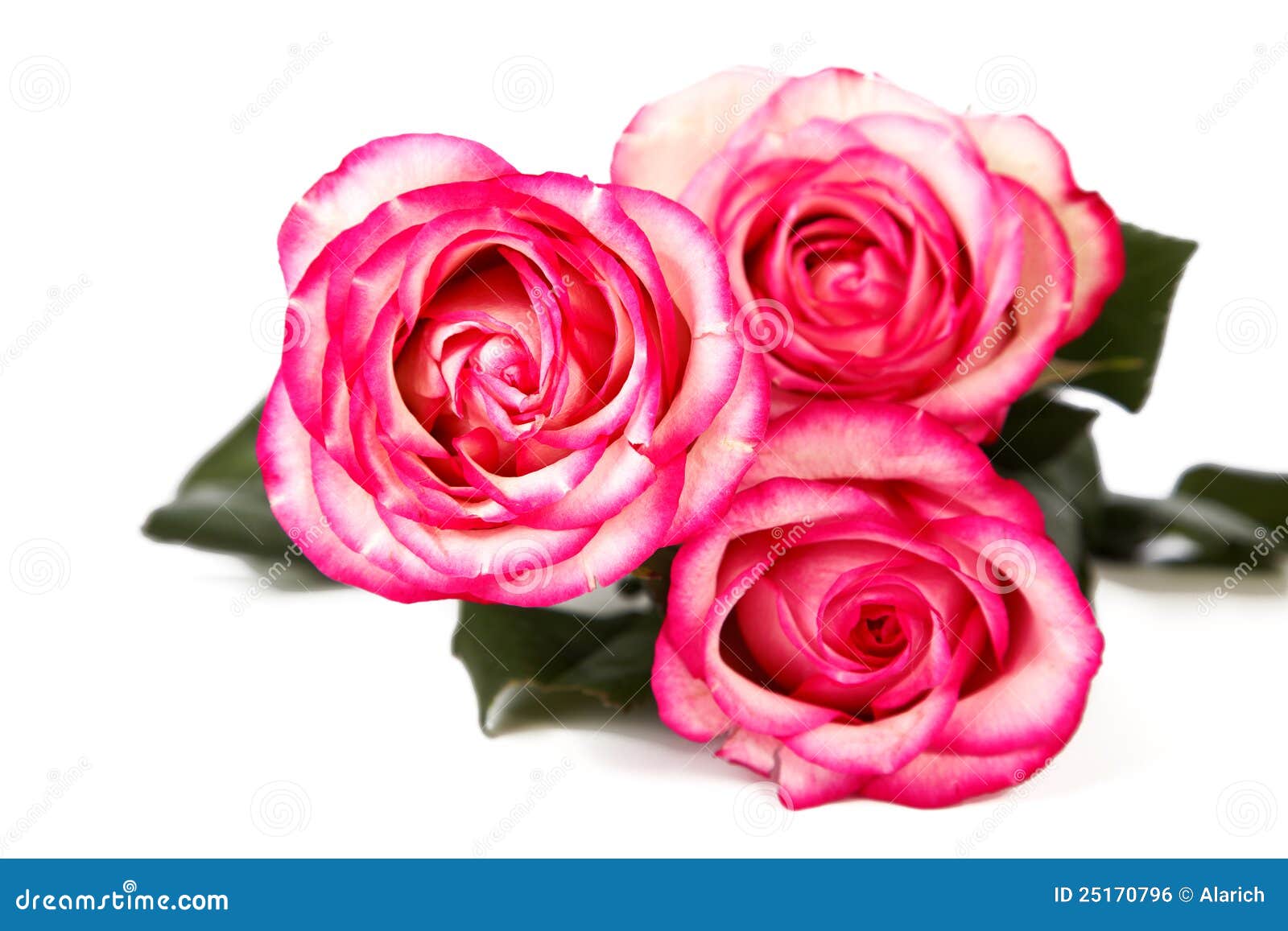 Bouquet De Trois Roses Blanc-rouges Photo stock - Image du projectile ...