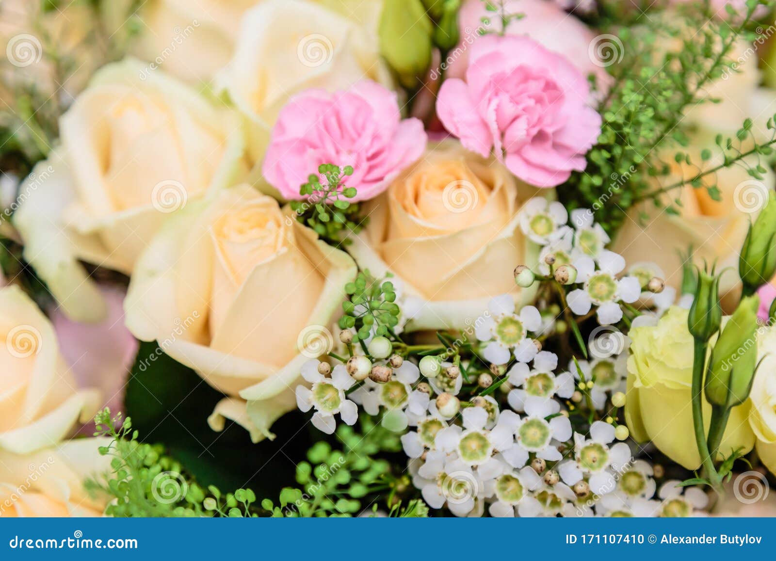 A Bouquet of Delicate Cream-colored Roses Stock Photo - Image of cream ...
