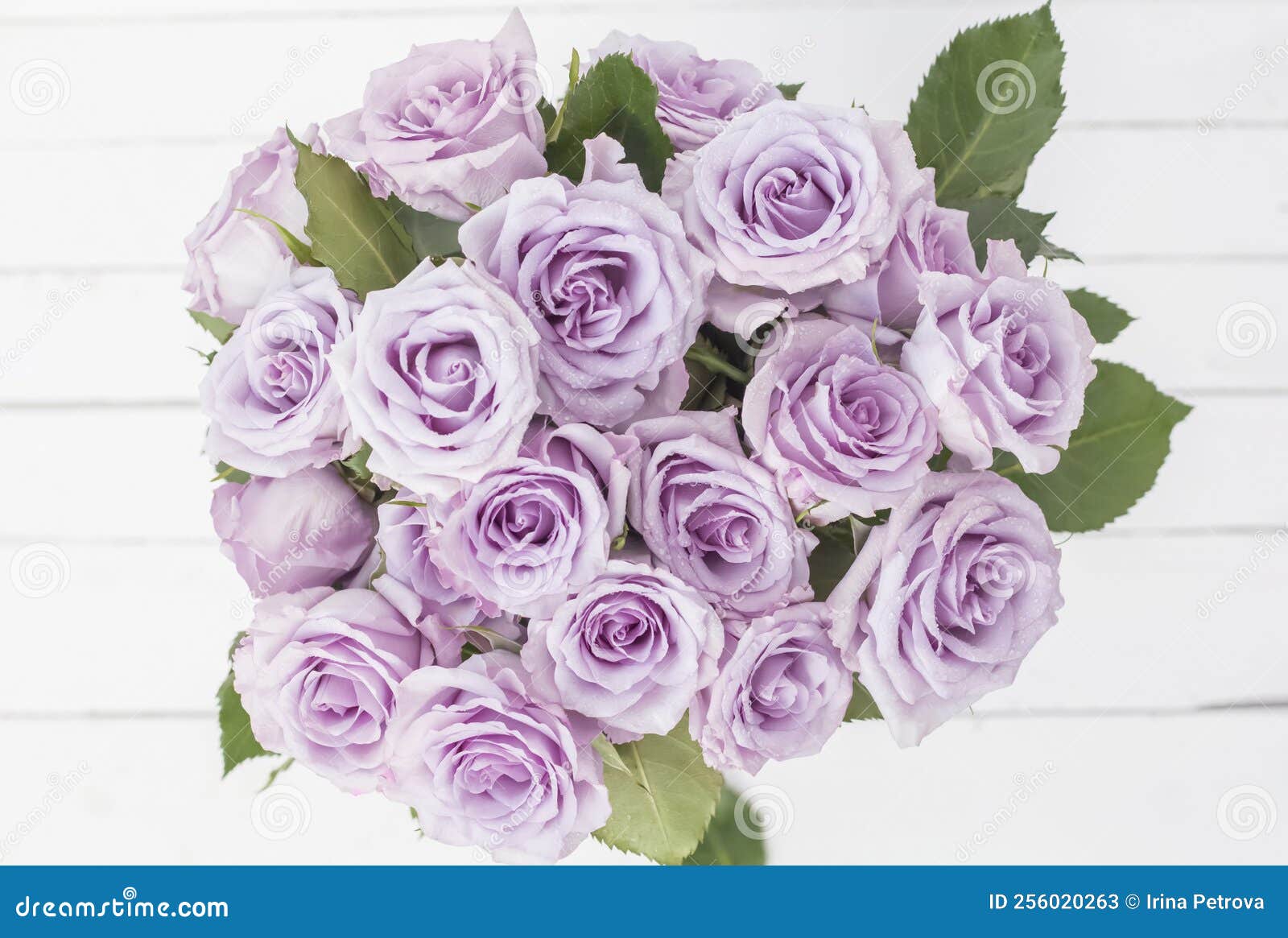 Bouquet of Delicate Pink Roses Top View Stock Image - Image of bright ...