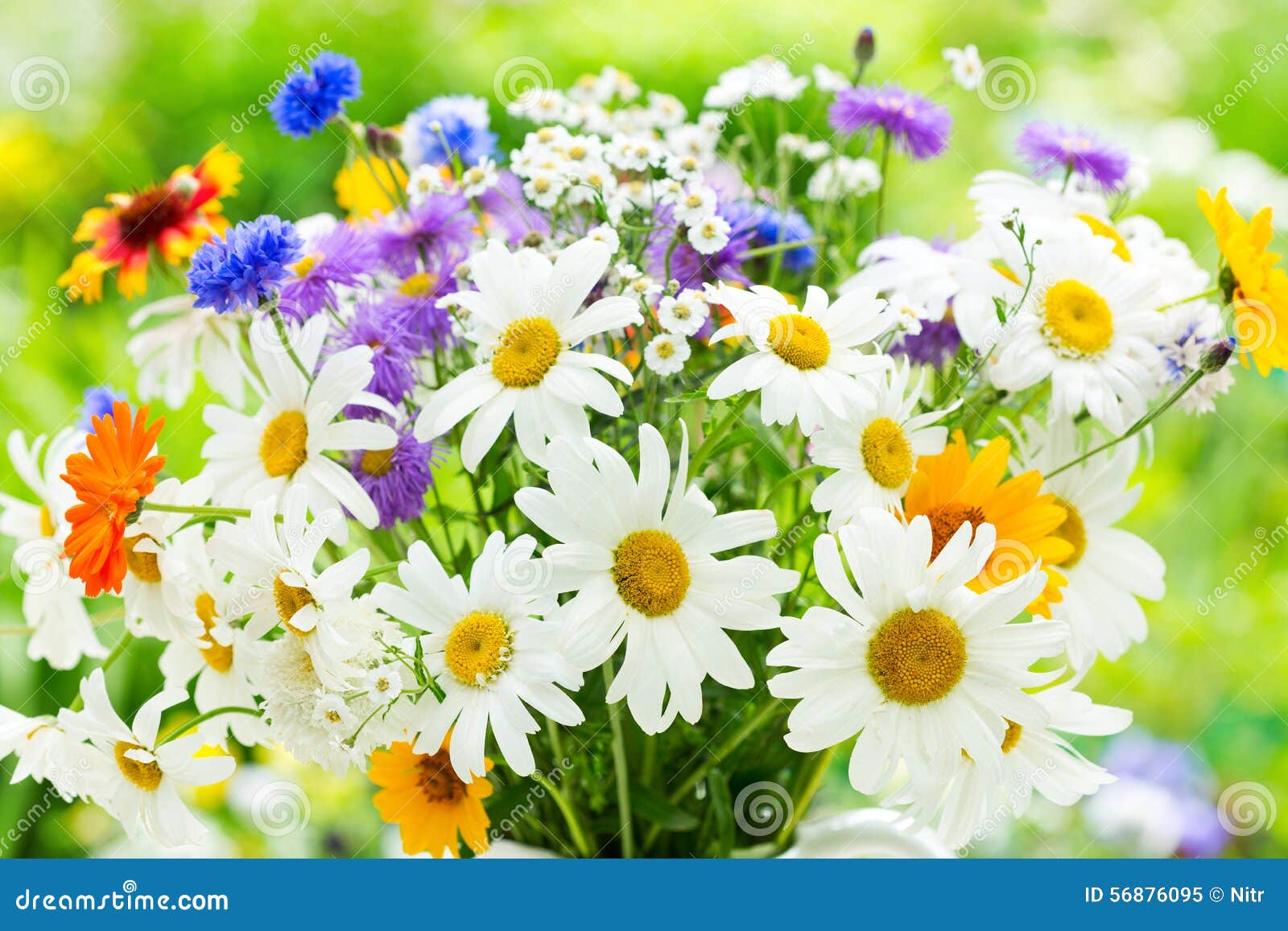 Bouquet des fleurs d'été image stock. Image du arome - 56876095