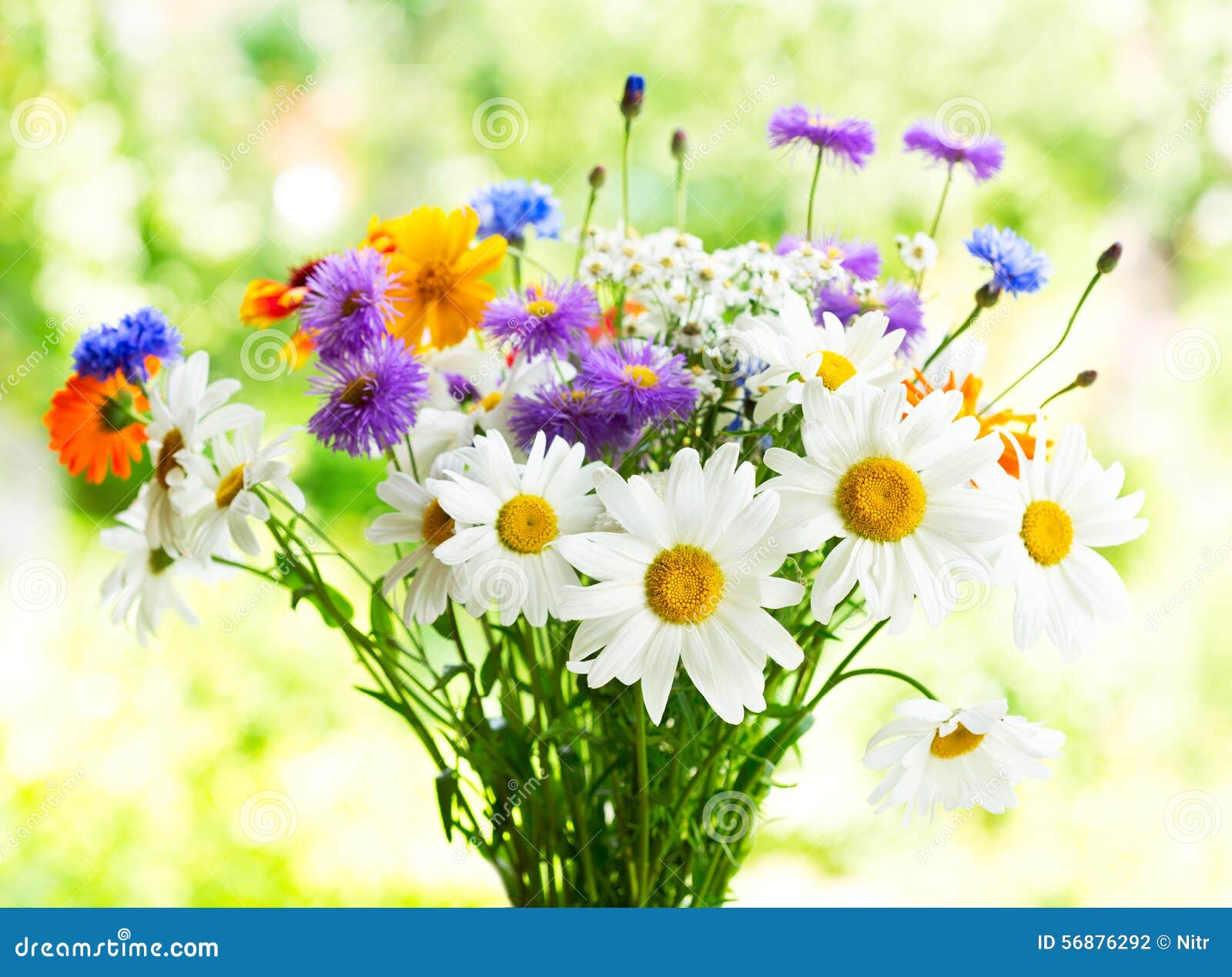 Bouquet des fleurs d'été photo stock. Image du nature - 56876292