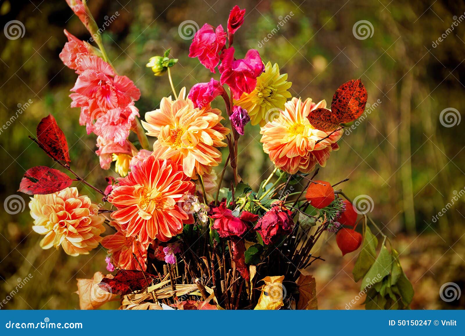 Bouquet Des Fleurs D'automne Image stock - Image du vert, lame: 50150247