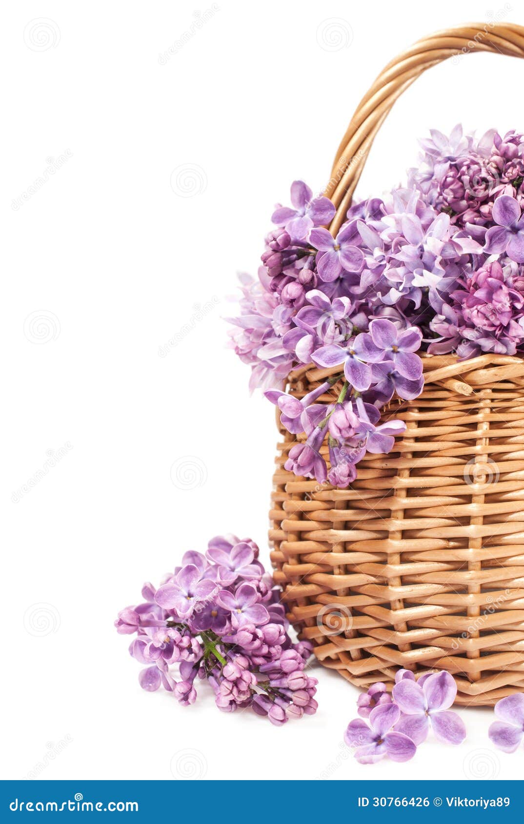 Bouquet Des Fleurs Lilas Dans Un Panier En Osier Photo stock - Image du ...