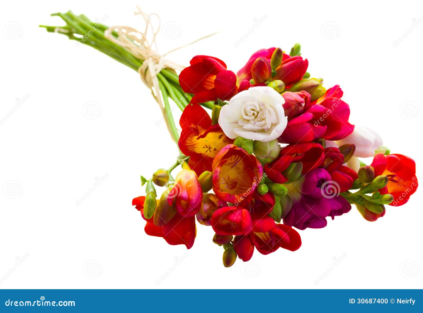 Bouquet Des Fleurs Rouges De Freesia Photo stock - Image du fleurs ...