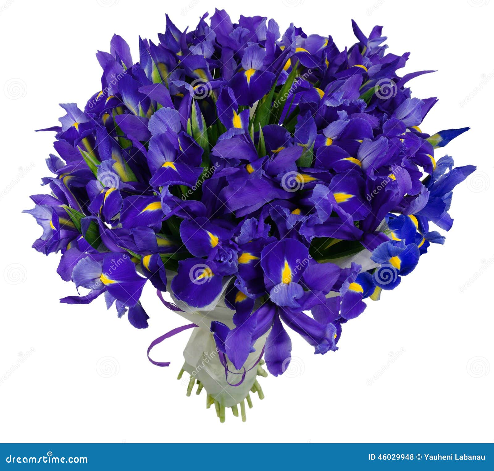 Bouquet des iris en paquet photo stock. Image du nature - 46029948