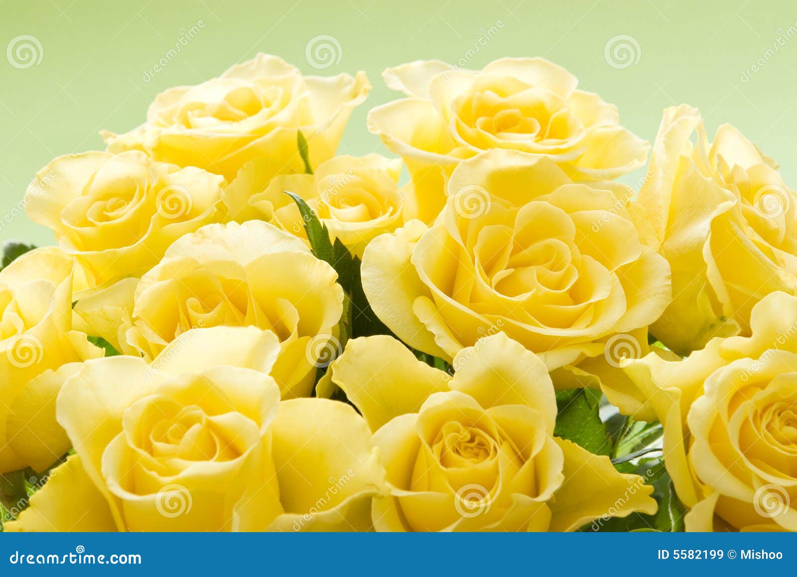 Bouquet des roses image stock. Image du pétales, vivacité - 5582199