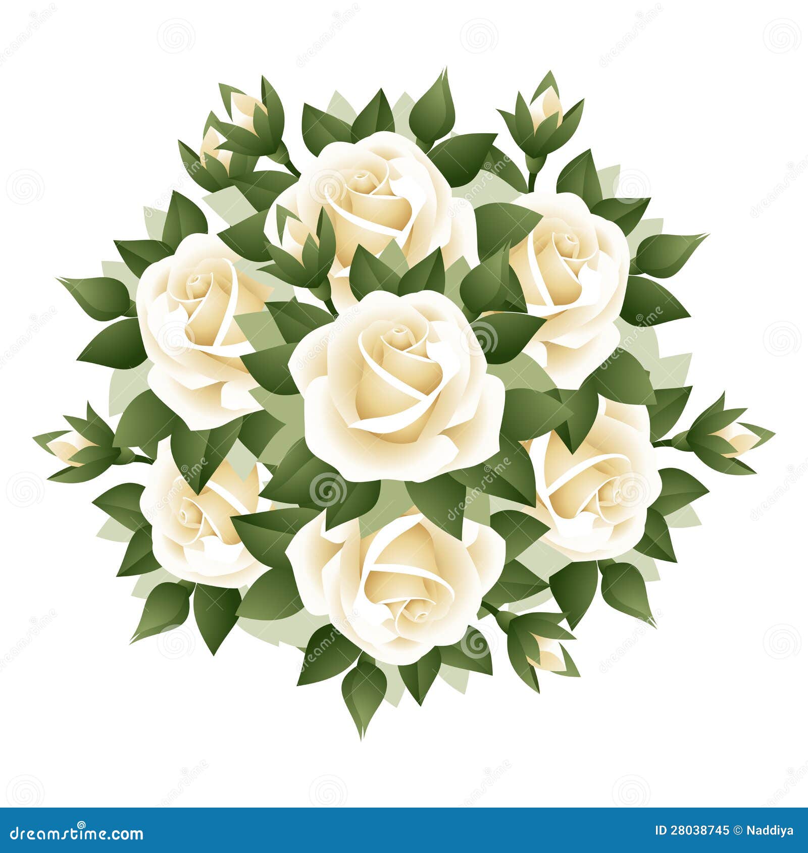 Bouquet Des Roses Blanches. Illustration. Illustration de Vecteur ...