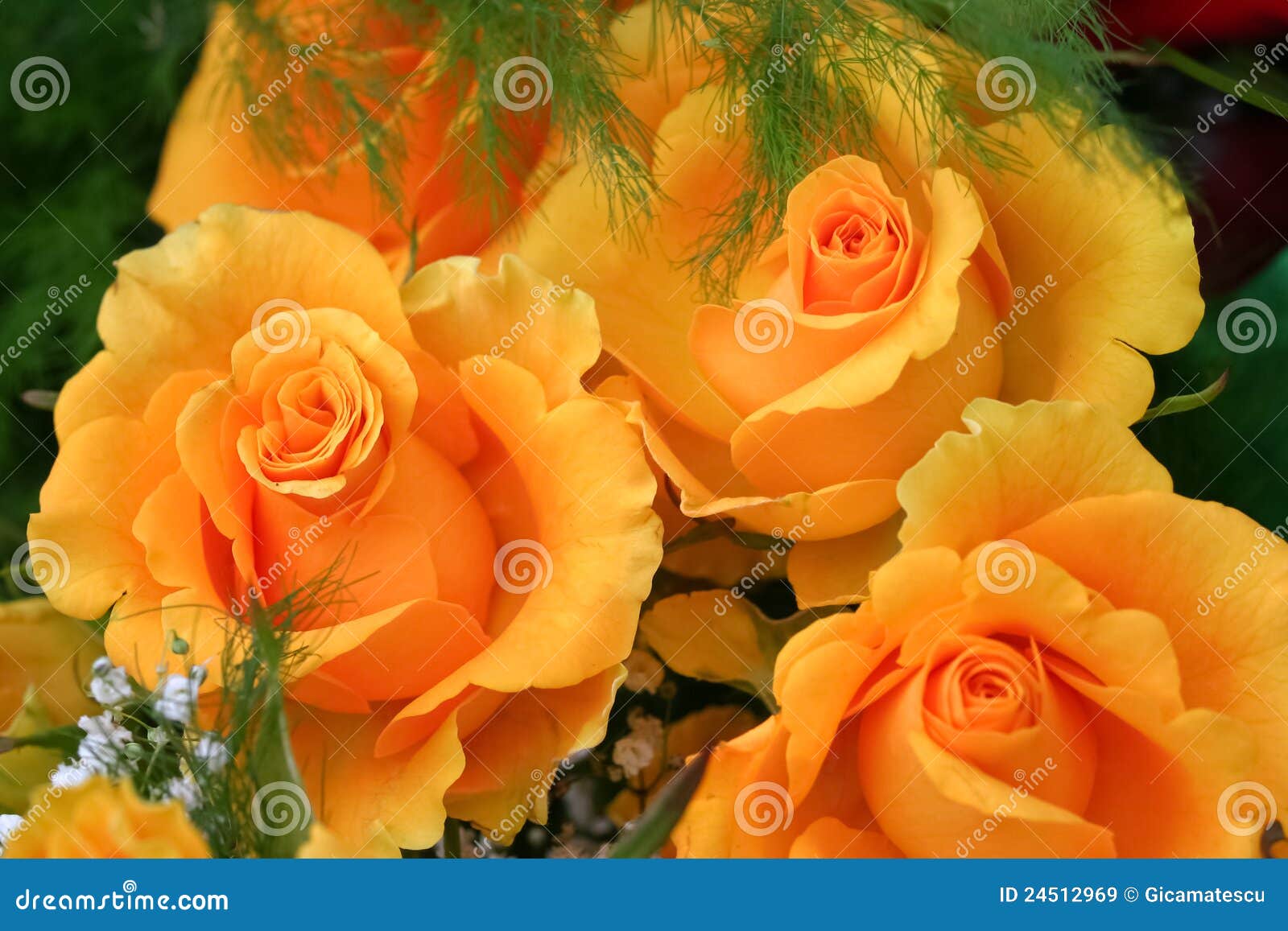 Bouquet des roses jaunes image stock. Image du roman - 24512969
