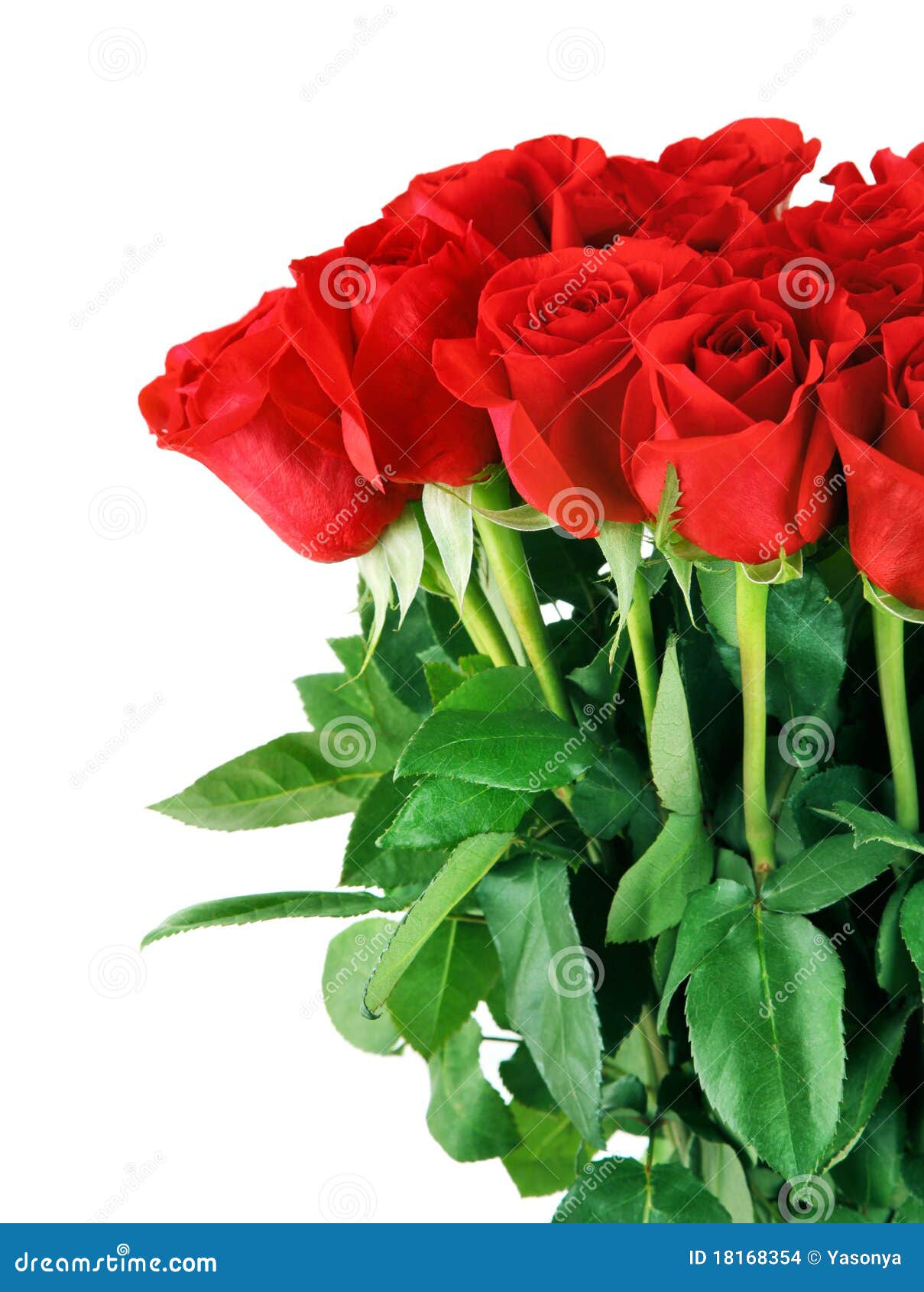 Bouquet des roses rouges photo stock. Image du lame, anniversaire ...
