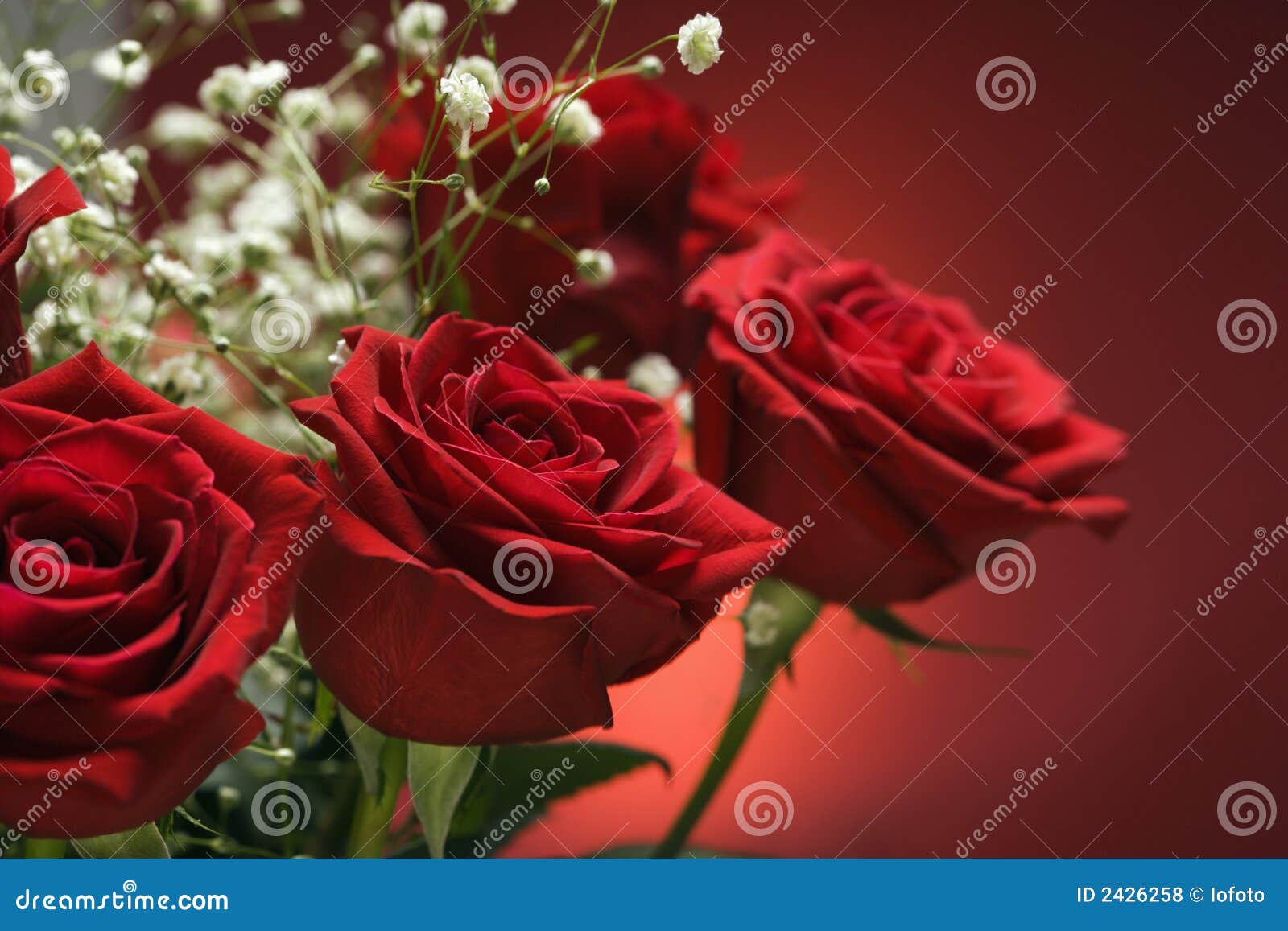 Bouquet des roses rouges. photo stock. Image du affection - 2426258