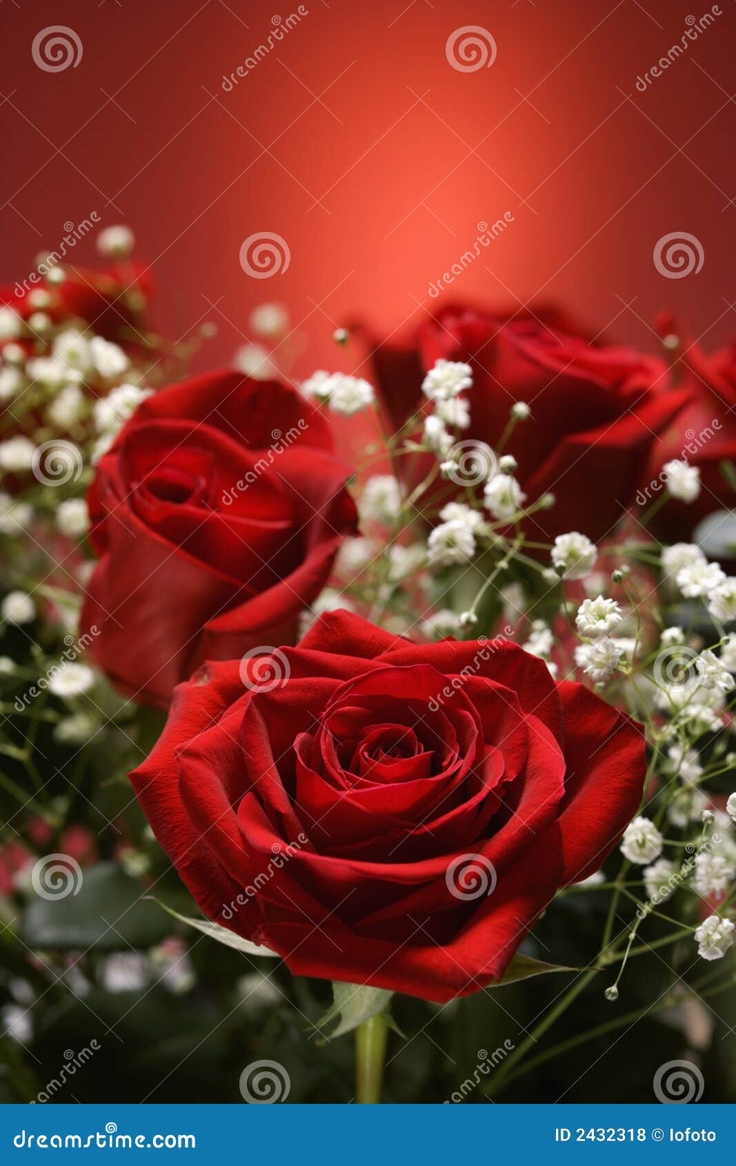 Bouquet des roses rouges. photo stock. Image du roman - 2432318