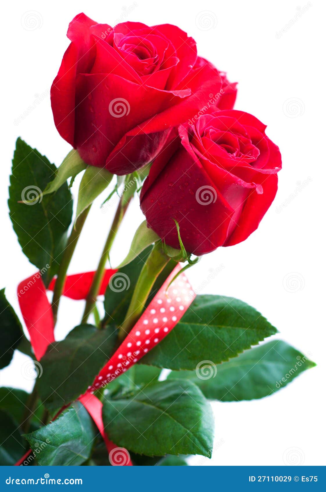 Bouquet des roses rouges image stock. Image du beau, groupe - 27110029