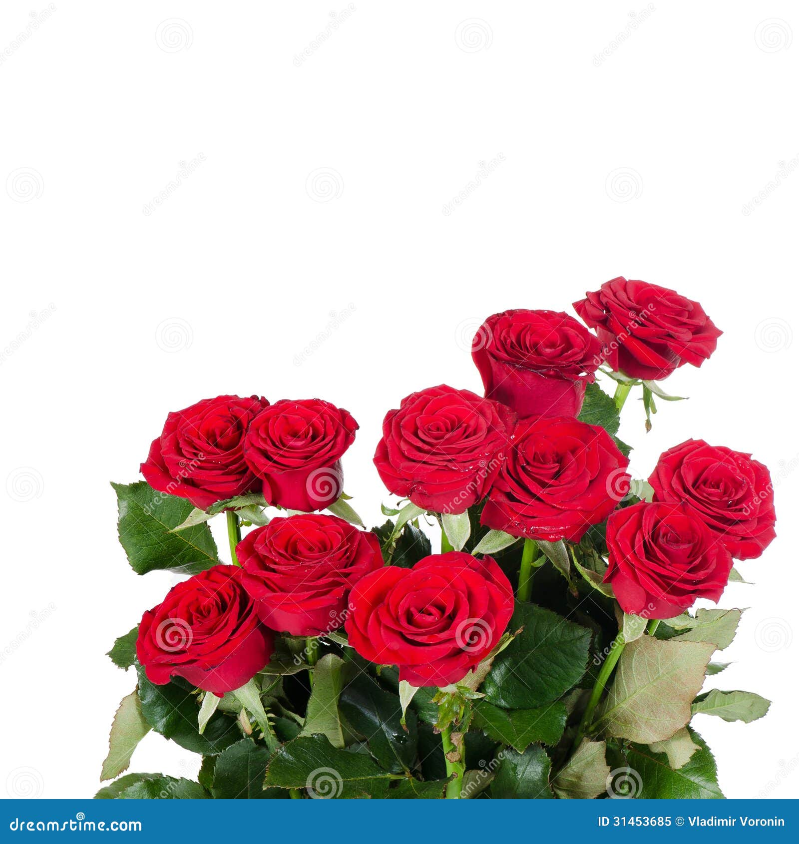 Bouquet des roses rouges image stock. Image du bouquet - 31453685