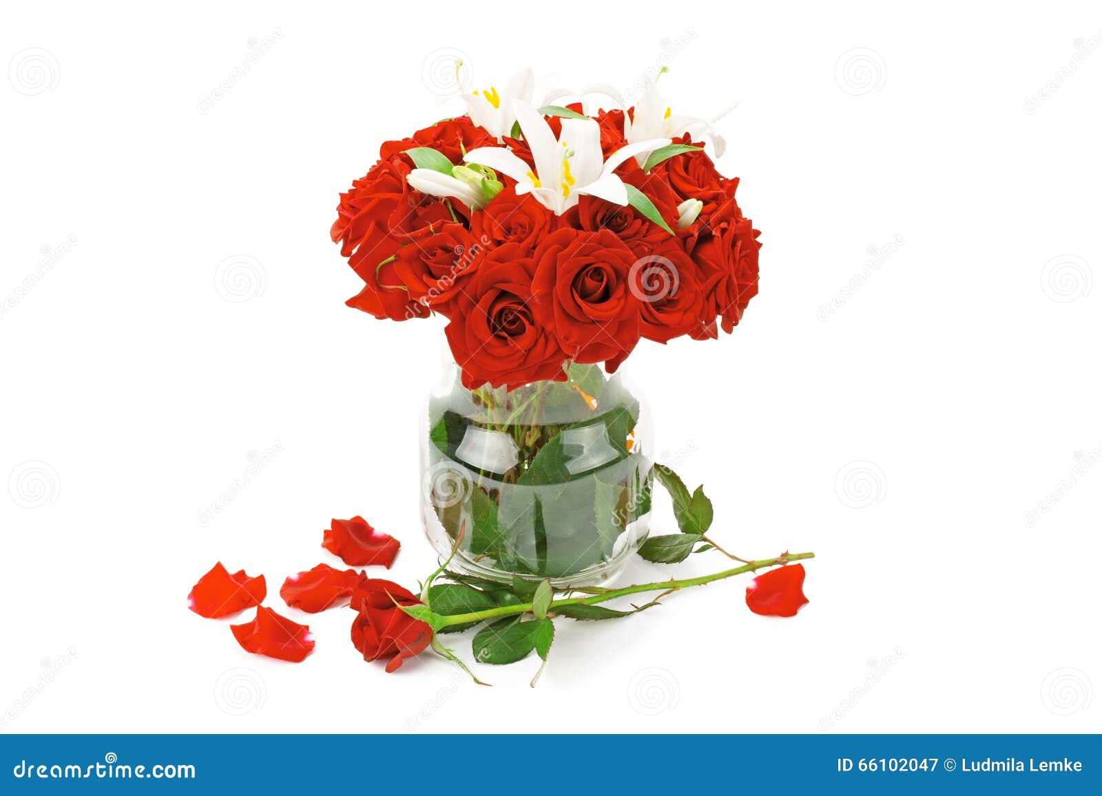 Bouquet des roses rouges image stock. Image du vacances - 66102047