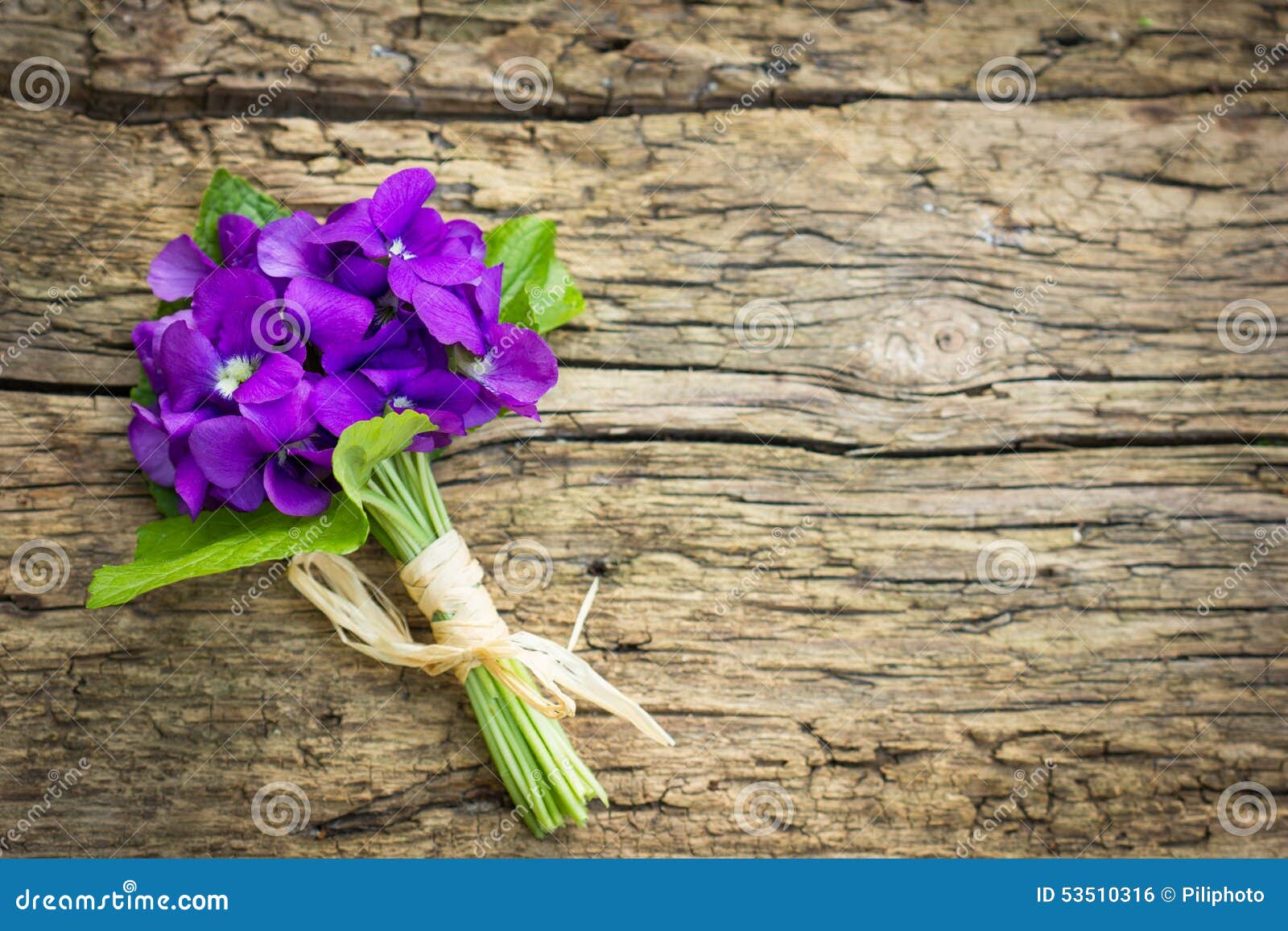 Bouquet des violettes photo stock. Image du nature, beau - 53510316