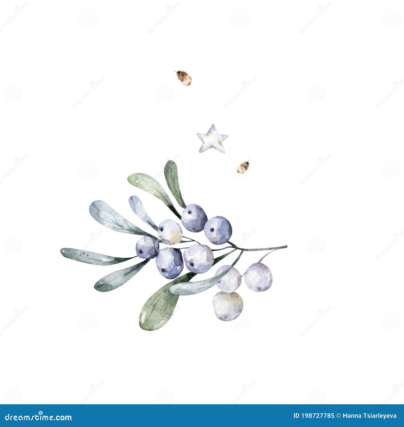 Bouquet Di Natale Con Poinsetta E Ramificazioni Illustrazione Dell ... Bouquet Di Natale Con Poinsetta E Ramificazioni Illustrazione Dell ...