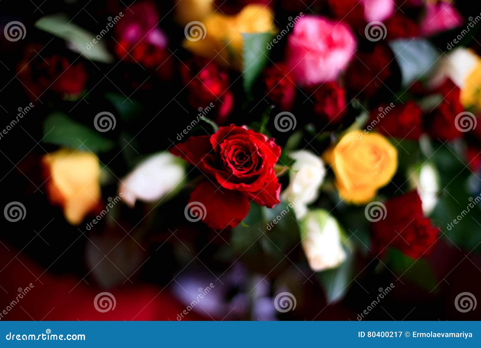Bouquet of Different Colorful Roses on Black Background Stock Image ...