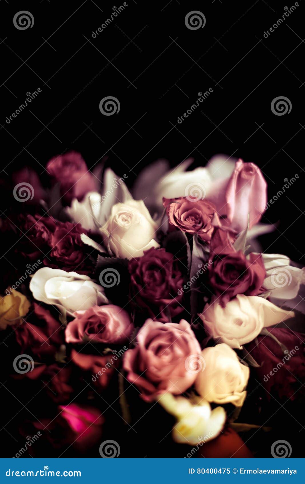 Bouquet of Different Colorful Roses on Black Background Stock Image ...